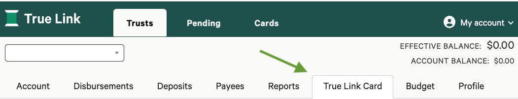 Linking a True Link Visa® Prepaid Card as a Disbursement Option – True Link Wealth Management